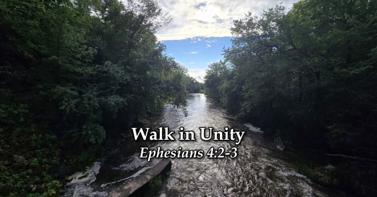 Walk in Unity